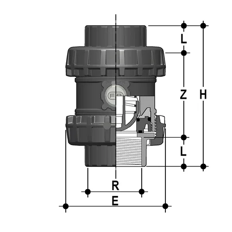 SSEFV/PTFE - Easyfit True Union ball and spring check valve DN 65:100